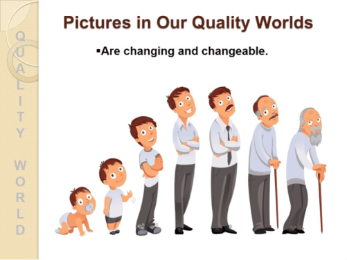 Teaching the Quality World | The Better Plan