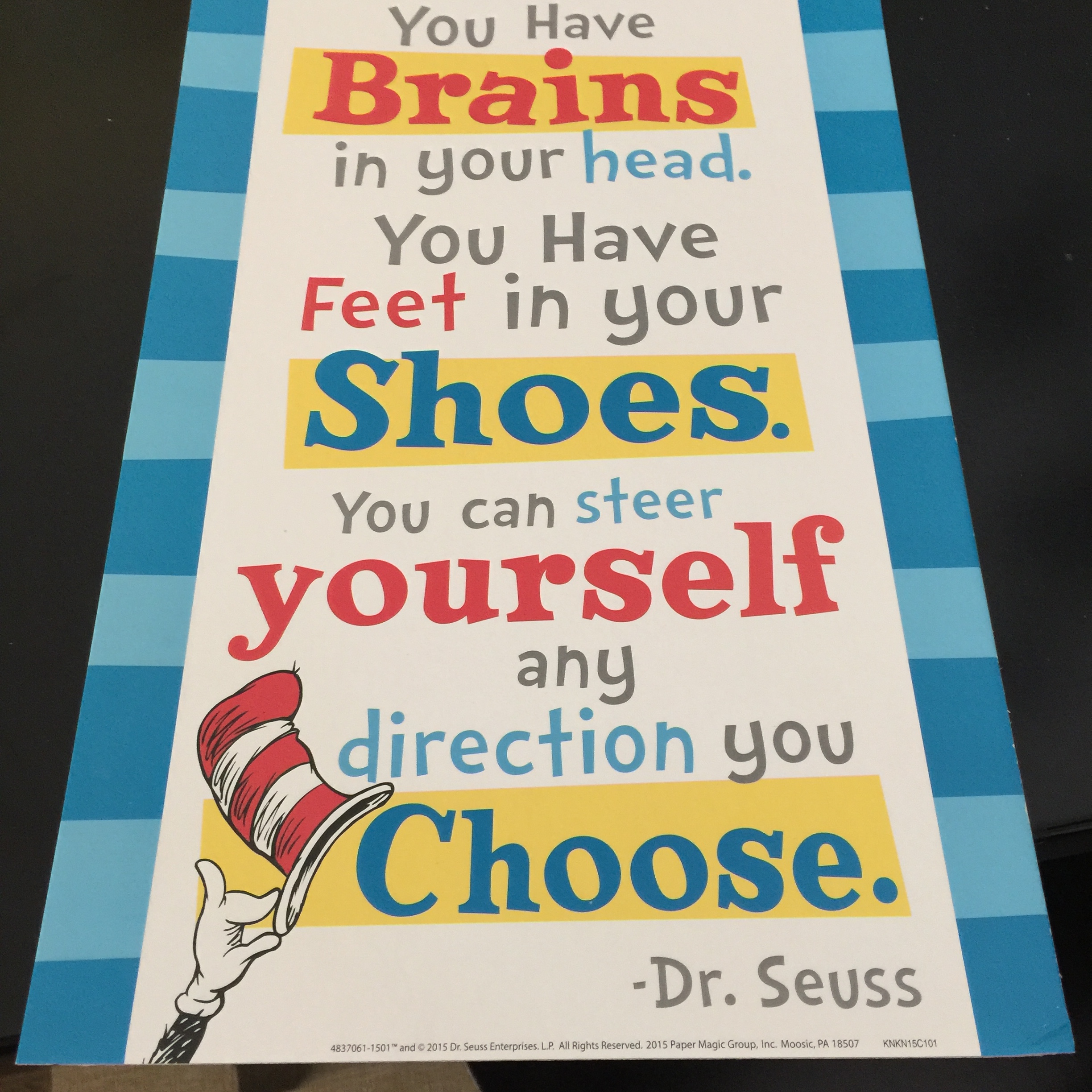 You Can Steer Yourself Any Direction You Choose | The Better Plan